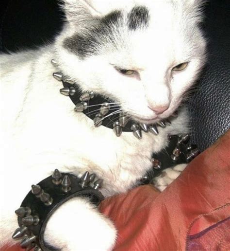 Create A Goth Prep Jock Nerd Alignment Tier List TierMaker