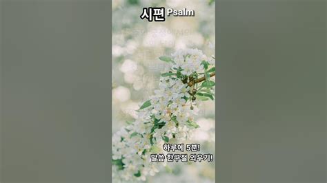 하루에 5분 말씀 한구절 외우기 시 8410 저 장미꽃 위에 이슬 I Come To The Garden Alone Youtube