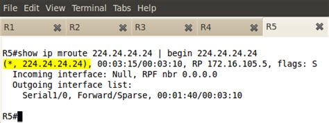 Hacking Cisco Lab 156 Pim Nbma