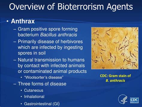 Ppt Overview Of Bioterrorism Agents Powerpoint Presentation Free Download Id 167923