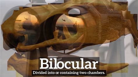How To Say Bilocular In English What Is Bilocular How Does Bilocular Look Youtube