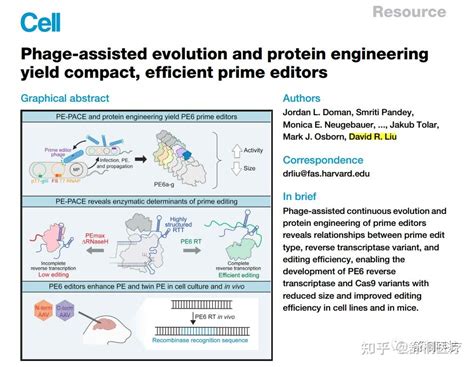 Cell 更高效、更紧凑的先导编辑器，效率提升24倍 知乎