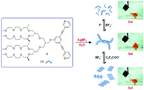 Schematic Representation Of Reversible Polymerization And Reversible