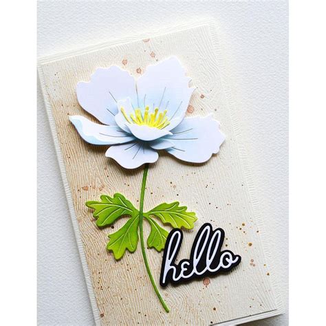 memory box graceful anemone dies 94764 simon says stamp