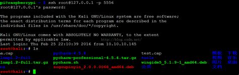 python黑帽子 黑客与渗透测试编程之道 python渗透22端口 csdn博客