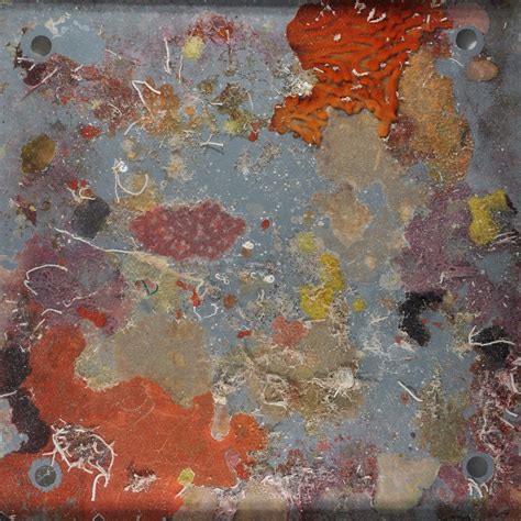 American Samoa And The Pacific Remote Islands Autonomous Reef Monitoring Structure Arms