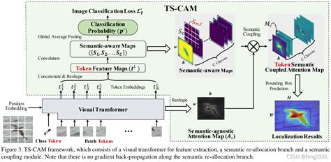 Ts Cam Token Semantic Coupled Attention Map For Weakly Supervised Object Localization Csdn博客