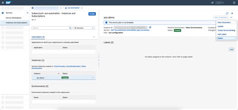 configure automatically the subaccount in sap btp sap community