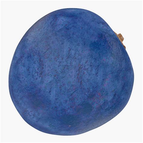 Juniper Berry 3d Model 17 Max Obj 3ds Ma C4d Free3d