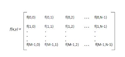 Image Processing Pengertian Dan Langkah Langkahnya Trivusi