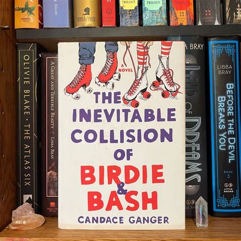 the inevitable collision of birdie and bash