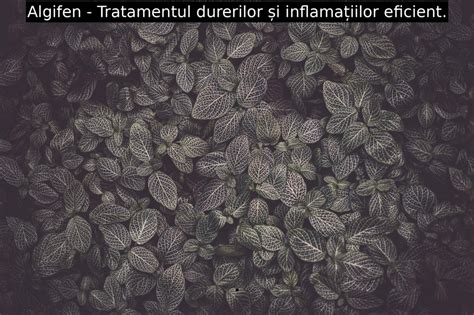 Alen Tratamentul Durerilor și Inflamațiilor Eficient Clinic Sanatos