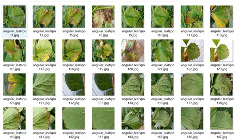 Python基于深度学习的草莓病害检测识别系统源码lw部署文档讲解等基于卷积神经网络的草莓病害图像识别系统 Csdn博客