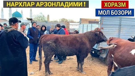 ХОРАЗМ БОГОТ МОЛ БОЗОРИ 29-НОЯБР НАРХЛАР АРЗОНЛАДИМИ !!! ХОРАЗМ БОЗОР ...