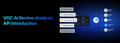 voc ai review analysis api introduction shulex voc blog