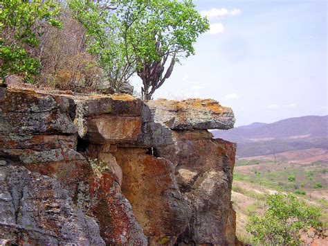 Caatinga Biosphere Reserve Embracing The White Forest Lac Geo