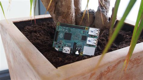 How To Automatically Water Your Plants With The Raspberry Pi Techradar