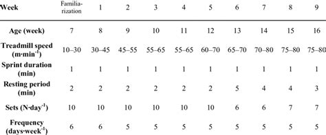 Sprint Interval Training Program In The Present Study Treadmill Speed Download Scientific