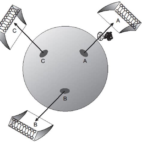 Centrosome Theoretical Geometrical Model Functioning Download Scientific Diagram