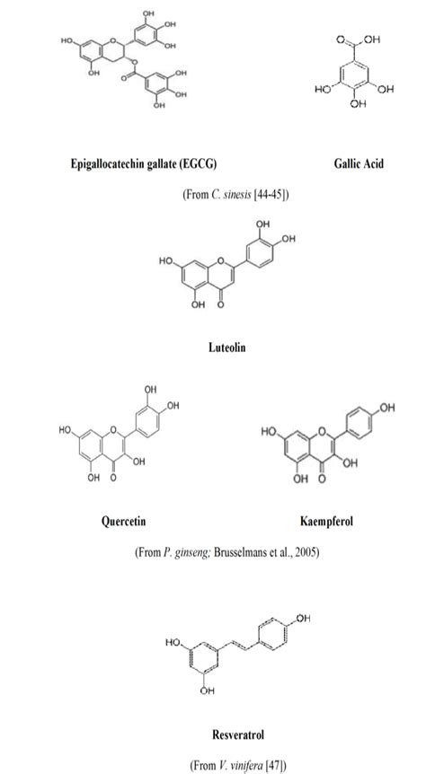 Chemical Structure Of Polyphenols Download Scientific Diagram
