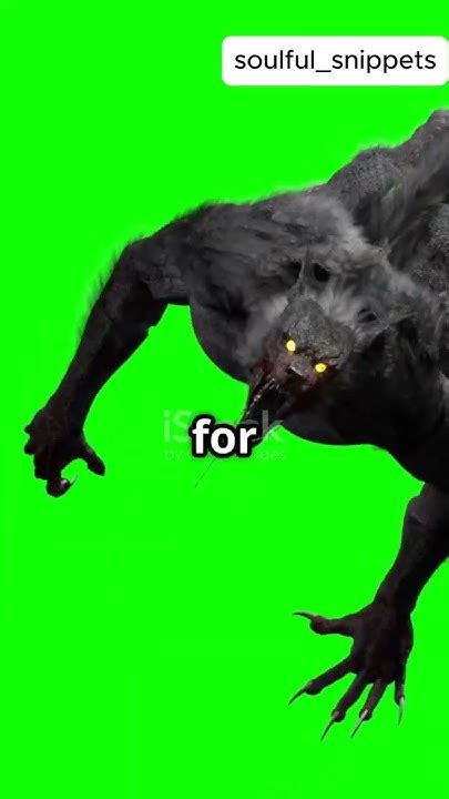 Hypertrichosis Youtube