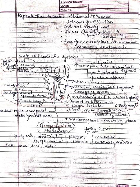 Class 1 Cockroach Reproduction Pdf
