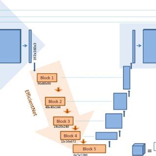 Schematic Illustration Of The Proposed Network Architecture Input Is A