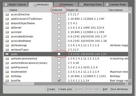 How To Index An Attribute In OID Oracle Trainings For Apps Fusion DBA