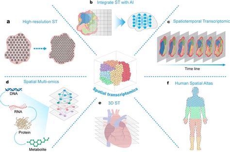 Spatial Transcriptomics A Powerful Tool In Disease Understanding And
