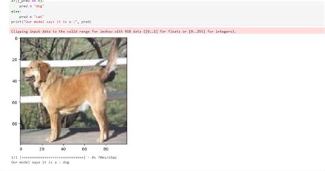 Animal Recognition Using Helium Drone Devpost