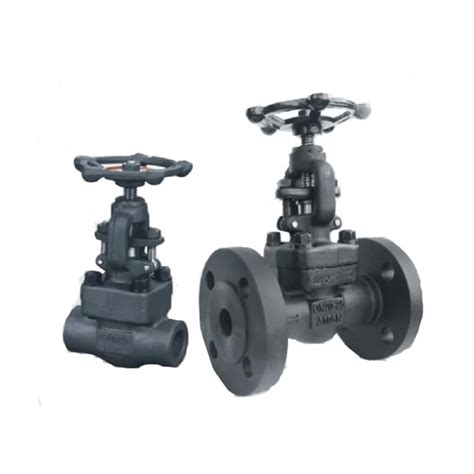 Api 602 锻钢截止阀 上海申恒机械科技有限公司