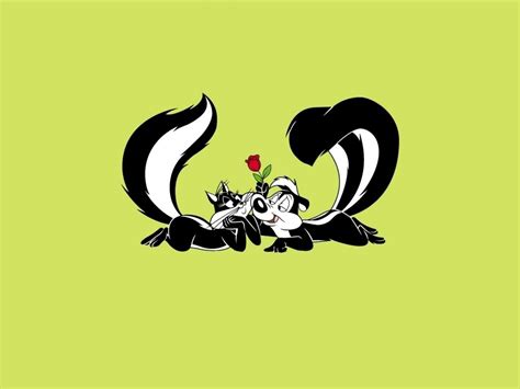 Pepé Le Pew Hd Wallpaper Classic Looney Tunes Tv Charm 1440x1080