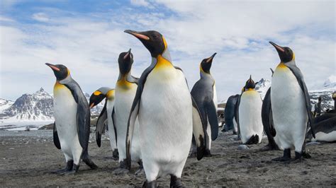 How To Search For Files In Linux From The Command Line Zdnet