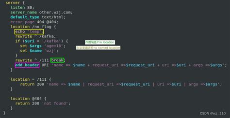 Nginx八十rewrite模块指令再探之二nginx。80 Rewrite Csdn博客