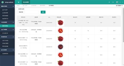 Shop Admin Web Springbootshiro Tokenmybatis Plusknife4jlayui Mini 做的一款前后端分离的管理系统前端支持主题样式切换