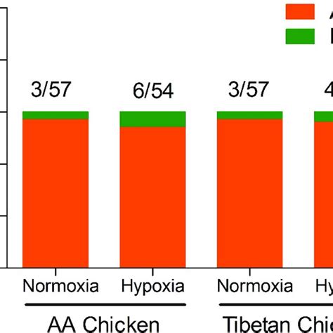 Effect Of High Altitude Hypoxia On The Blood Parameters Of Aacs And