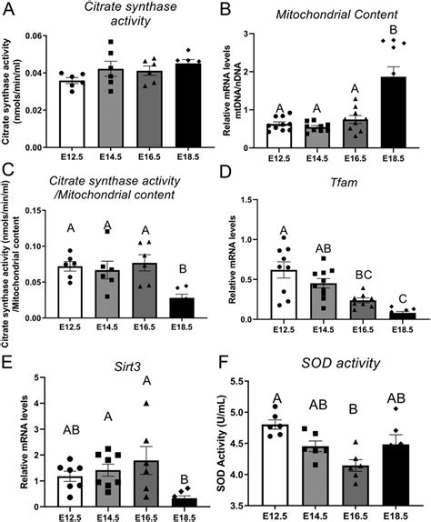 Citrate Synthase Activity A Mitochondrial Content B Citrate Download Scientific Diagram