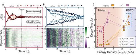 Physicists Used A Quantum Simulator To Observe Prethermal Discrete Time Crystal Assignment Point