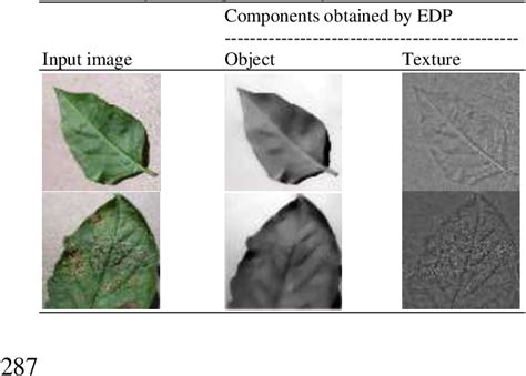 Figure 1 From Early Detection And Classification Approach For Plant Diseases Based On Multiscale