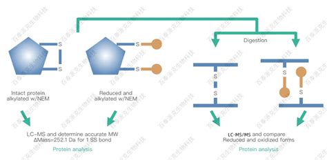 默克获lm 299开发权，开启双抗癌症疗法新篇章 企业动态 丁香通