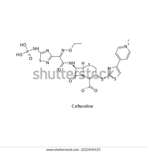 Ceftaroline Flat Skeletal Molecular Structure 5th Stock Vector Royalty Free 2222646125