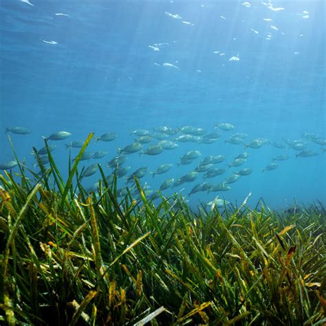 Ørsted On Linkedin Starboard Wind Is Setting The Future In Motion Creating A Lasting Legacy…