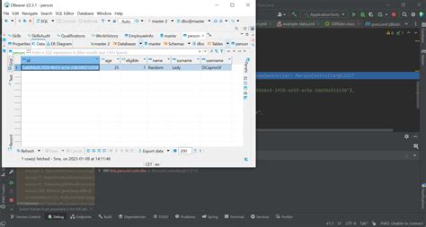 Java Database Integration Tests With Database Rider And Testcontainers Q Agency