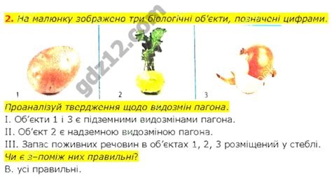 ГДЗ Біологія 7 клас Тагліна О В Самойлов А М 2024 рік Робочий зошит ГДЗ Готові домашні