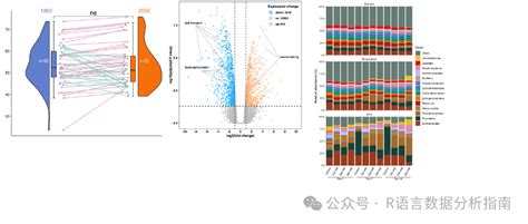 Ggplot2优雅绘制环状相关性热图 完美解决文本添加 腾讯云开发者社区 腾讯云