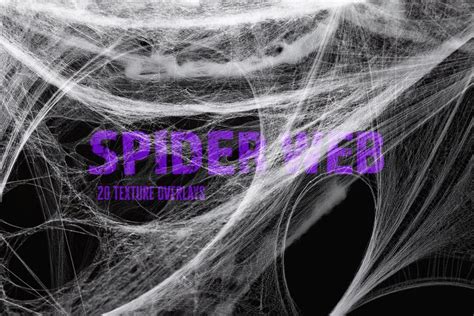 Cobweb Texture Overlays