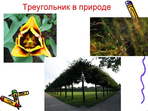 Треугольник. Определение. Виды треугольников - online presentation
