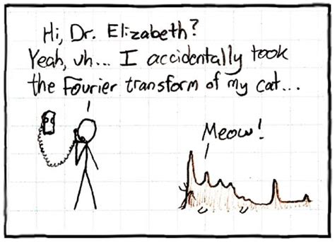Fourier Transformed My Cat An Objective Of Learning Fourier Transforms