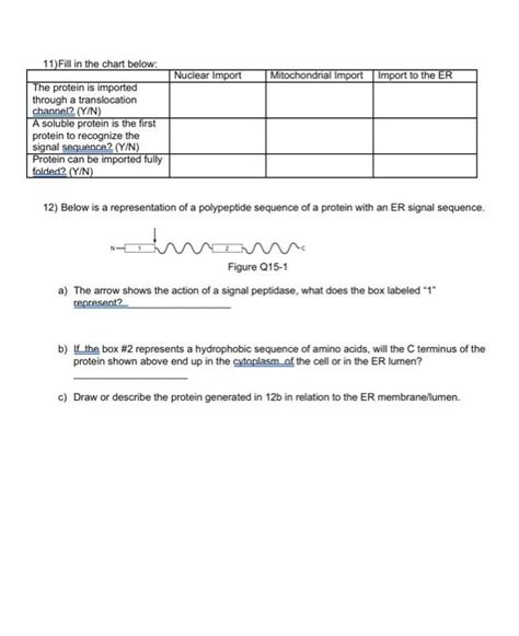 Solved A Signal Sequence Is Made Of A Nucleotides B Chegg