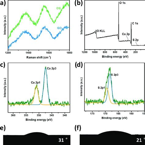 A Raman Spectra Of Cg And Go Xps B Survey C Ca 2p And D S 2p